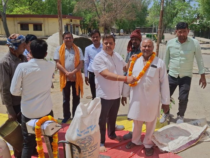 Wheat purchase started in Mandi Samiti | मंडी समिति में गेहूं खरीद शुरू ...