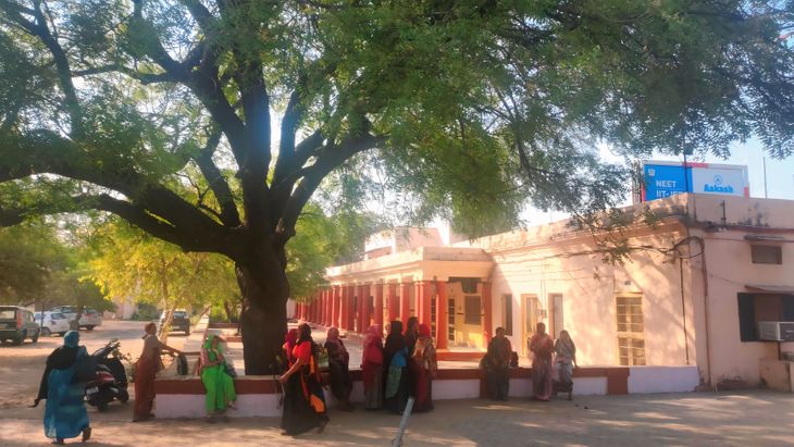 Know the value of a tree: Neem tree provides relief in 40 degree ...