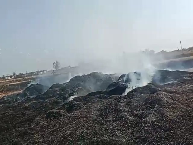 Fire broke out in the field of a farmer of Mauganj
