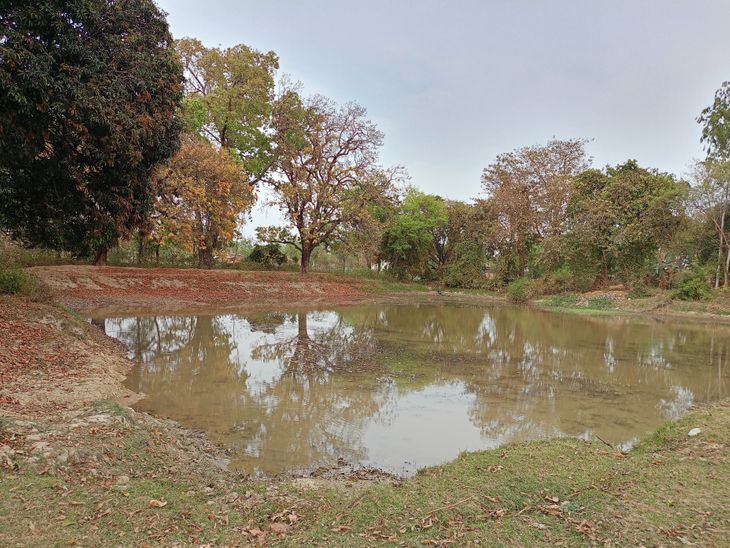 The pond became the basis of life in summer | गर्मी में जीवन का आधार ...