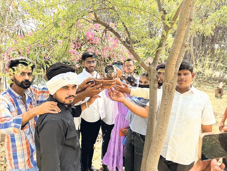NSUI celebrated foundation day with the resolution of clean and green ...