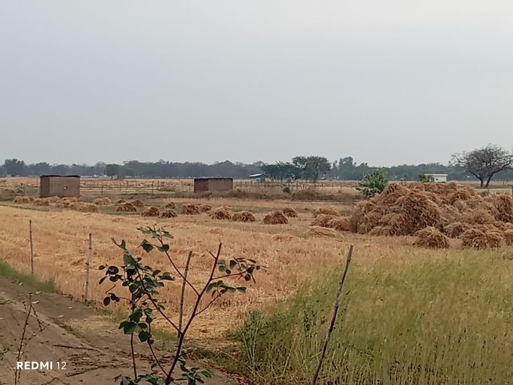 mood of weather changed in Amethi