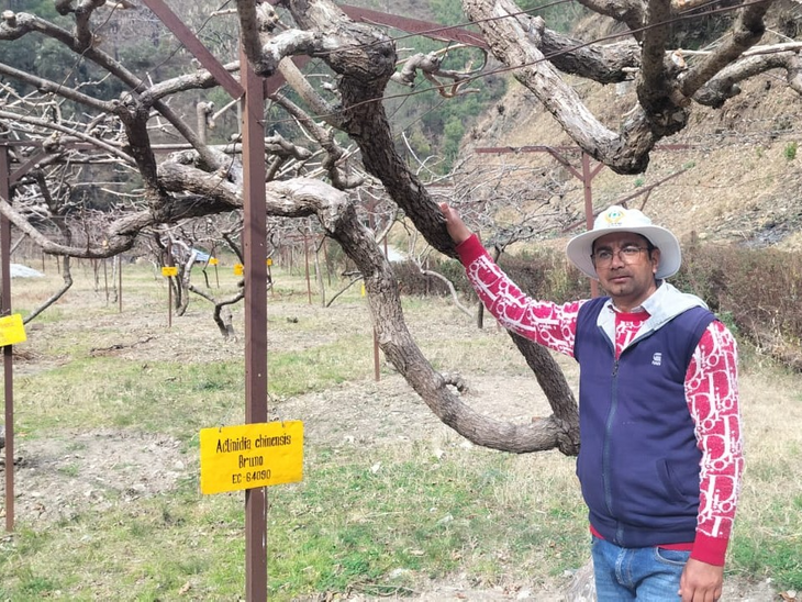 Kamal Giri of Champawat became an inspiration for self-employment ...