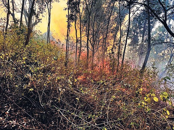 Fire spread over half a hectare near Bhil Basti in front of Mount Arna ...
