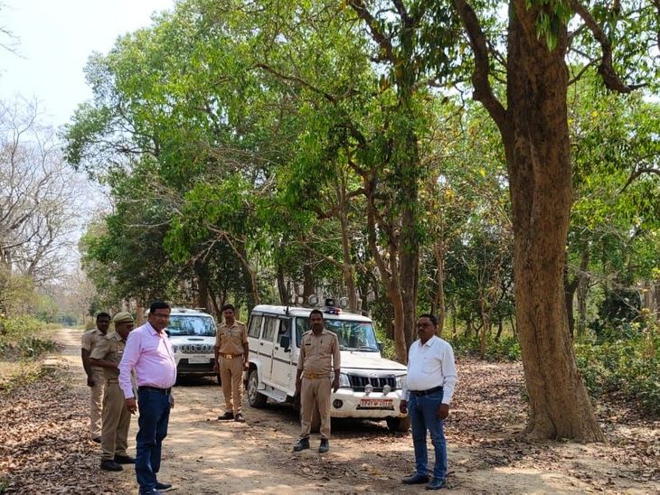 Checking of flammable materials in forest area in Balrampur | बलरामपुर ...