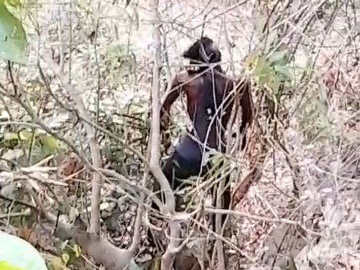 Four day old dead body found in Shahdol | पुलिया के नीचे फंदे से लटका ...