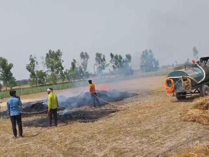 5 bigha wheat crop of a farmer burnt in Hasanpur | हसनपुर में किसान की ...