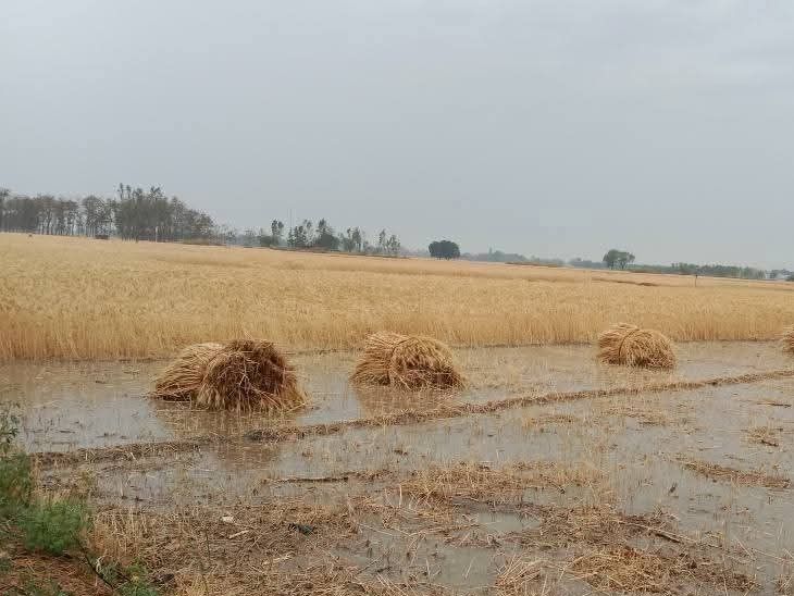 Weather hits farmers in Amethi