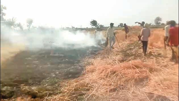 Wheat crop standing in 50 bigha area burnt to ashes due to fire | आग से ...