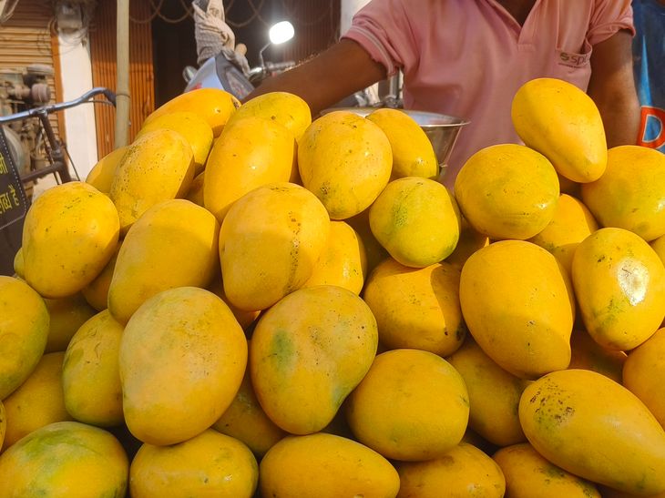 The king of fruits mango entered the market in Ambedkar Nagar