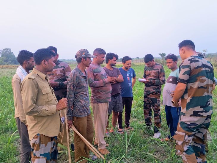 Wild animals coming out of Dudhwa Tiger Reserve created havoc | दुधवा ...