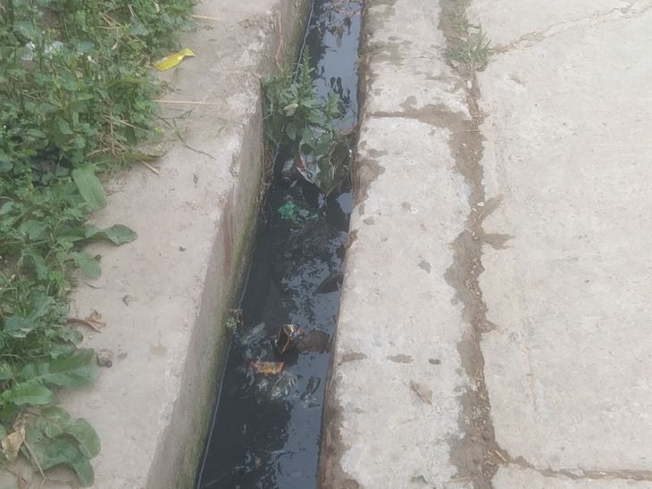 Drains are not cleaned in Amirpur | अमीरपुर में नालियों की सफाई नहीं ...