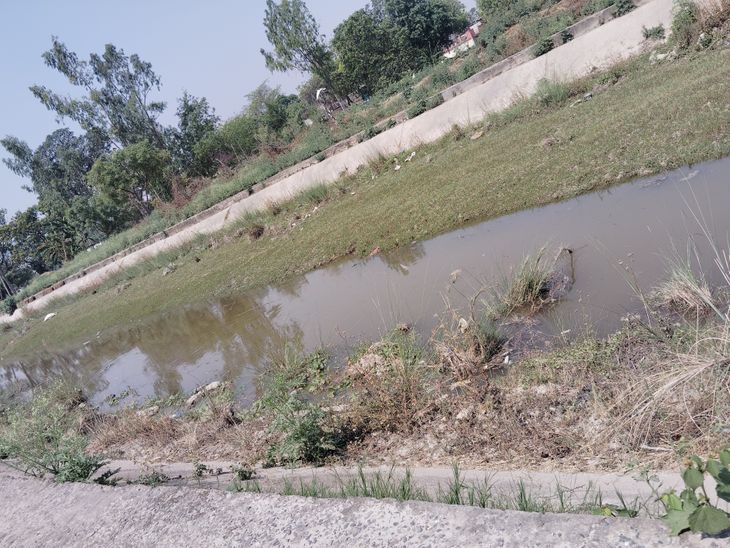 Water released in 62 km canal, benefit to Urd-Mentha crops