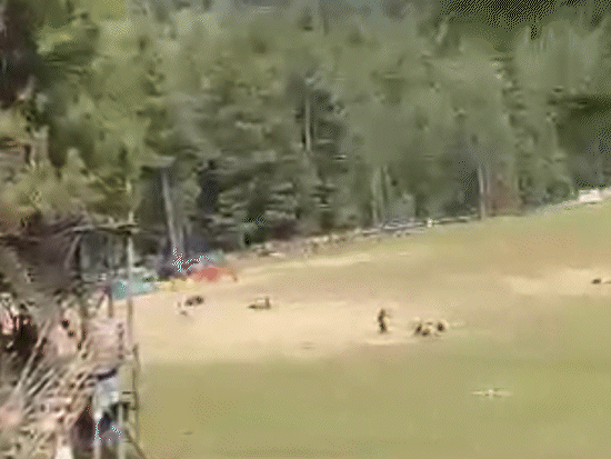 Kashmir Tourist Attack; Srinagar Wanted Terrorist | Aadil Husain | 26 ...