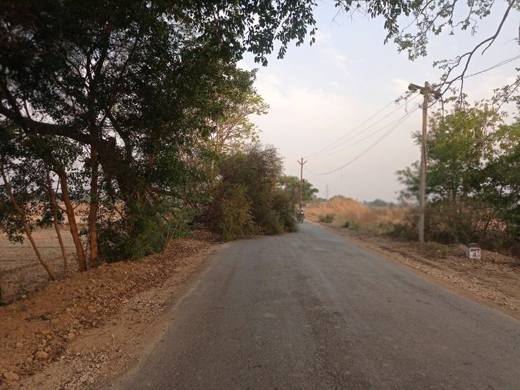 Tree fell due to storm on Gauhania road of Akbarpur | अकबरपुर के ...
