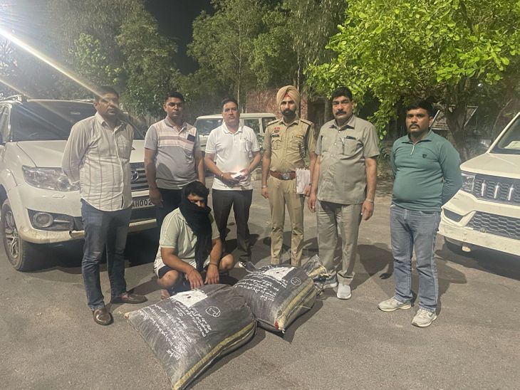 Sirsa Drug Smuggler Arrest Doda Poppy Seized News Update | सिरसा में ...