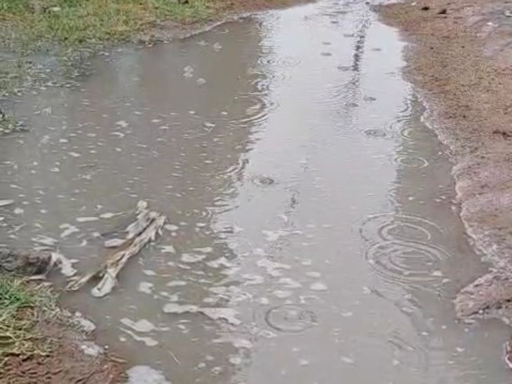 Temperature drops due to rain in Amethi | अमेठी में बारिश से तापमान में ...