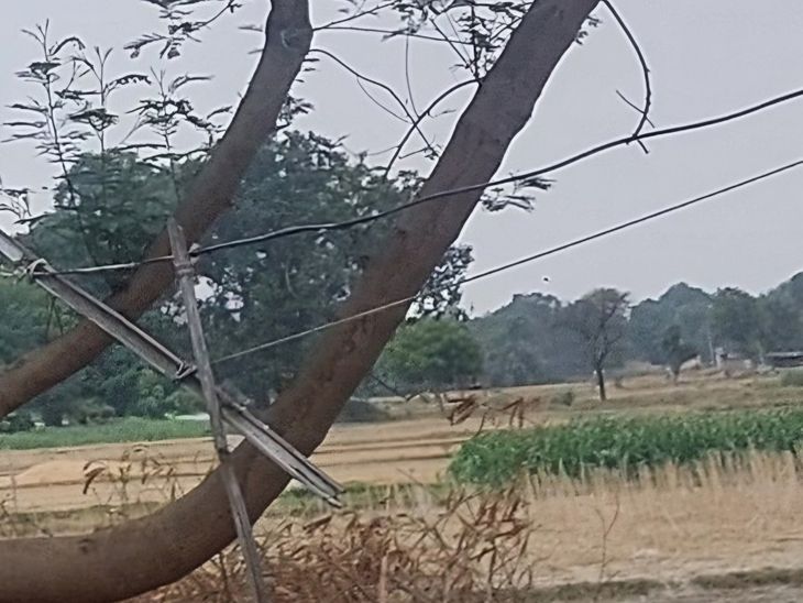 11000 volt wire hanging 4-5 feet above the ground in Saurai village ...