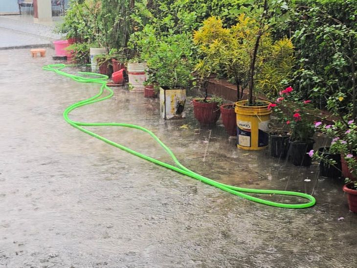 Unseasonal rain in Shahdol, temperature dropped by 5 degrees | शहडोल ...