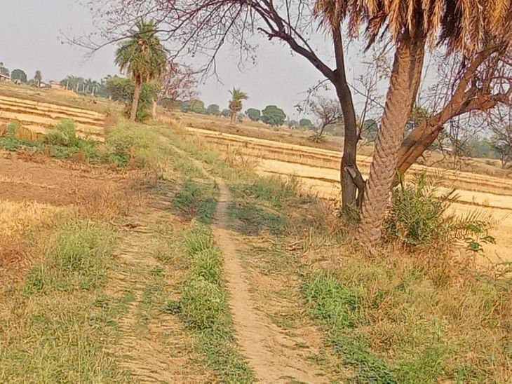 Demand for road from Chandi to Ghaghar canal | चांड़ी से घाघर नहर तक ...