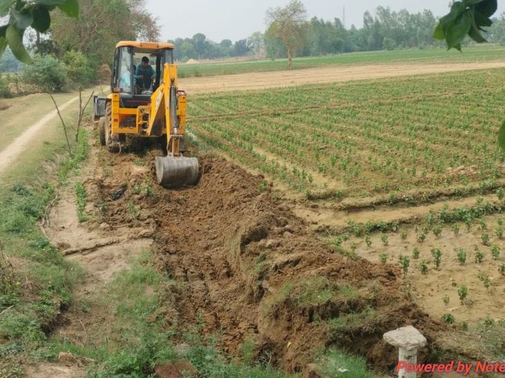 5.46 lakh hectare forest land occupied in Madhya Pradesh | मप्र में 5. ...