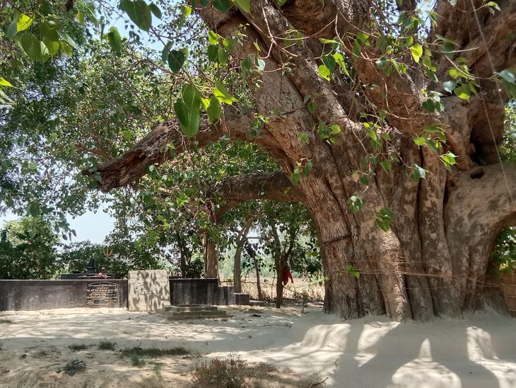 The Tapabhoomi of Bharat's wife Mandavi in Ayodhya