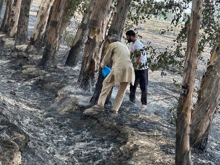 Hisar, Narnaund Crop, Residue Burning | Damages Roadside Trees | हिसार ...