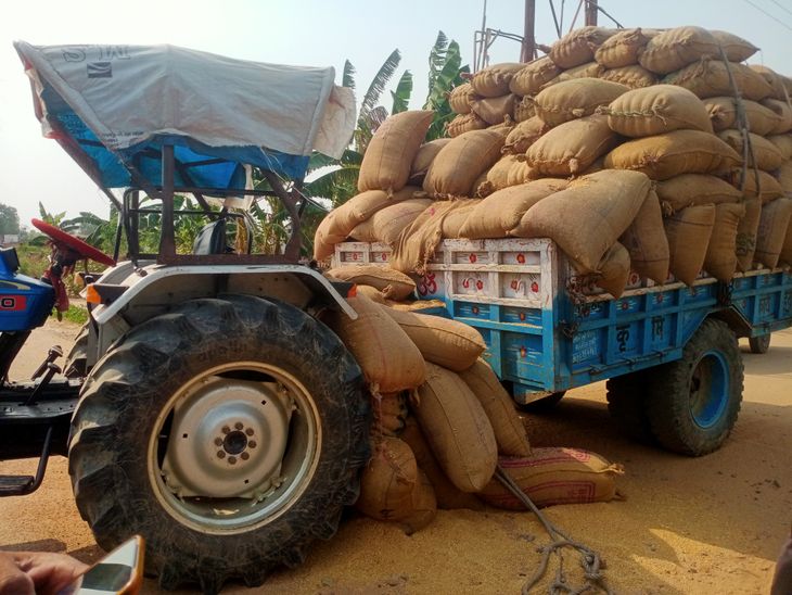 The tire of the overloaded tractor trolley got stuck in the ditch ...
