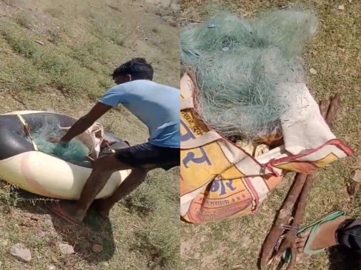 Ranthambore Tiger Reserve Poaching Video | Sawai Madhopur | रणथम्भौर के ...