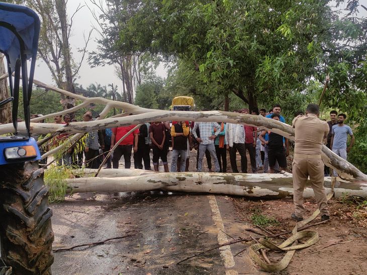 Due to storm, electricity and traffic system collapsed in Duddhi | आंधी ...