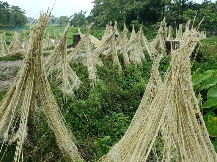 Traditional method of making rope from jute in Dudhi of Kushinagar
