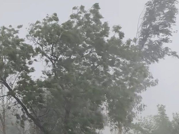 Storm and rain in Bahadurpur | बहादुरपुर में आंधी-तूफान और बारिश ...