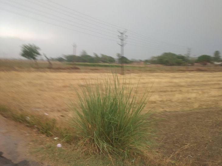 Rain brings relief to farmers in Bansgaon | बांसगांव में बारिश से ...