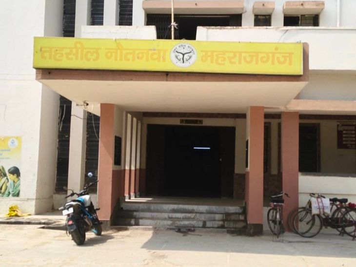 New appointments in Nautanwa Tehsil | नौतनवा तहसील में नई नियुक्तियां ...