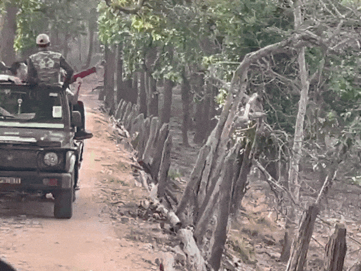 Hawk Force soldiers flew drones in Kanha Tiger Reserve