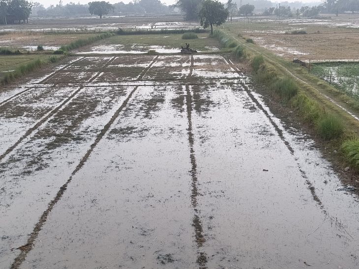 Heavy rain after storm in Agouna | अगौना में आंधी-तूफान के बाद तेज ...