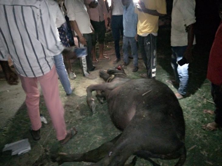 Road accident on Bhira state highway in Lakhimpur | लखीमपुर में भीरा ...