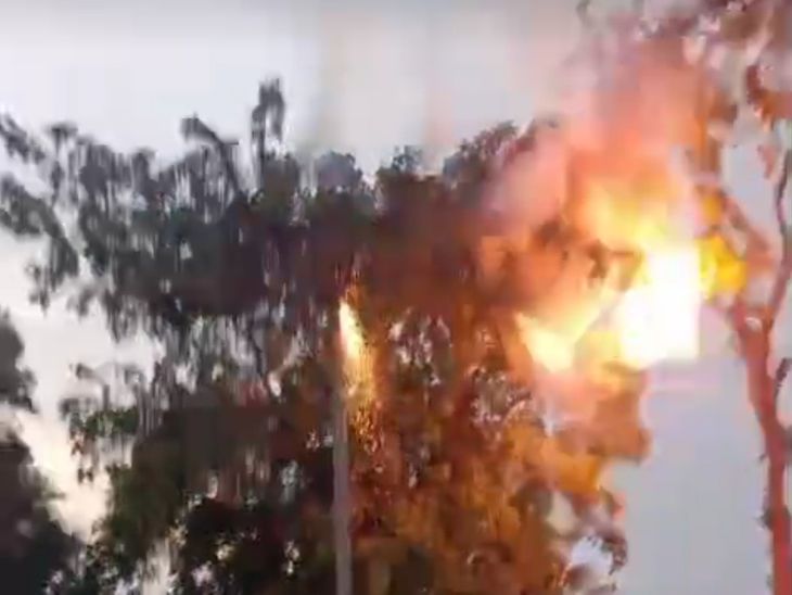 Tree collides with high voltage line in Puraina