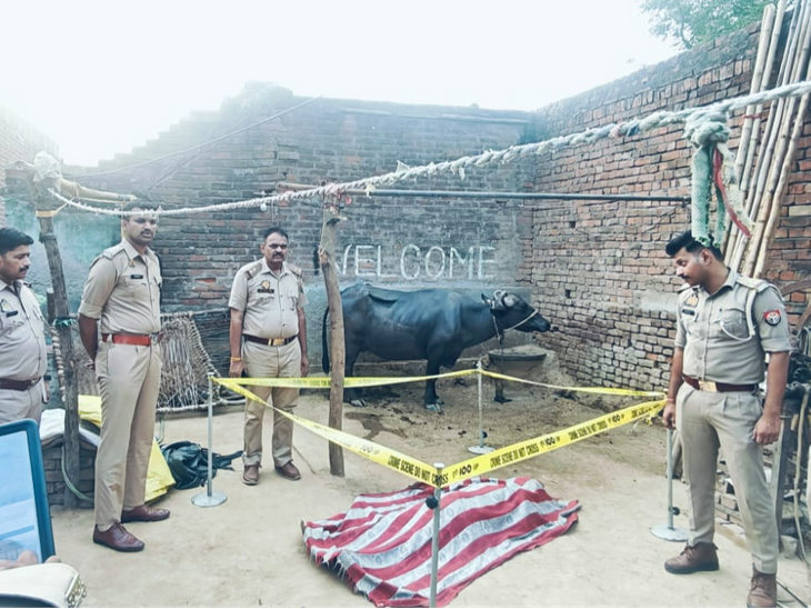 In Agra, nephew killed uncle by beating him with sticks in a dispute between children, case of ...