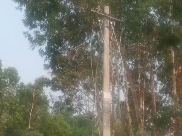 1200 meters of wire missing from 11 poles, loss of lakhs