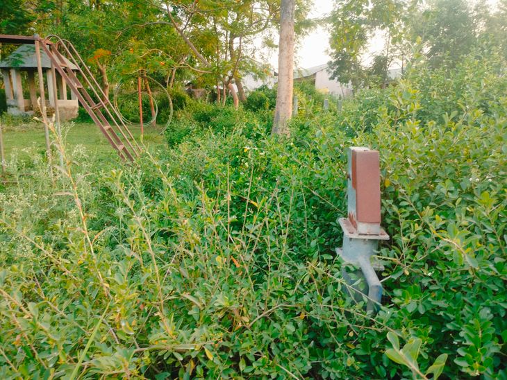 Trouble due to faulty hand pump in Tandwa Mahant | टंडवा महंत में खराब ...