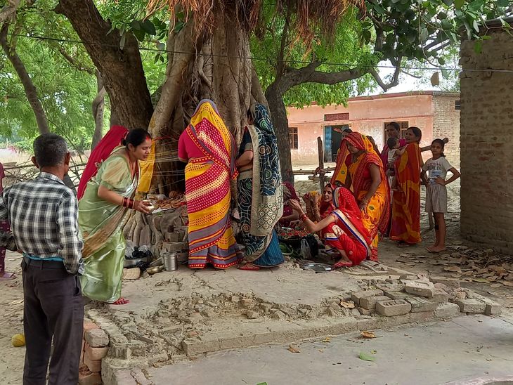 Worship of Bat Savitri fast in Purva Majra | पुरवा मजरे में बट सावित्री ...