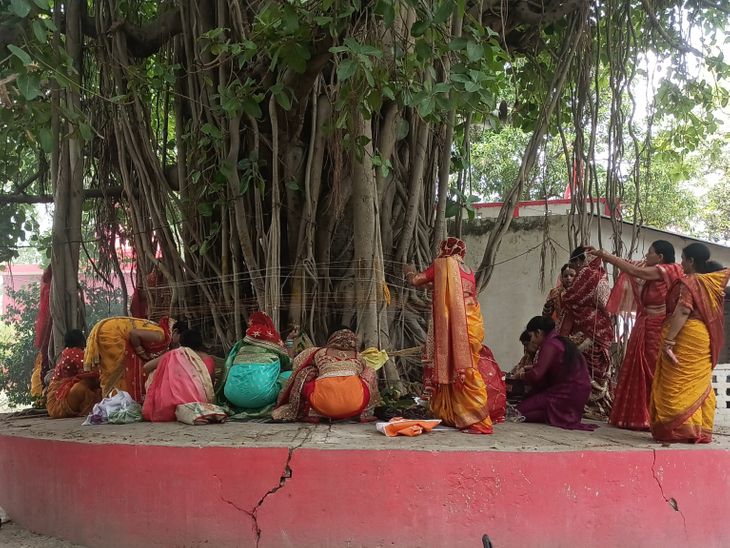 Savitri Puja fast in Pandari Kripal | पंडरी कृपाल में व्रत सावित्री ...