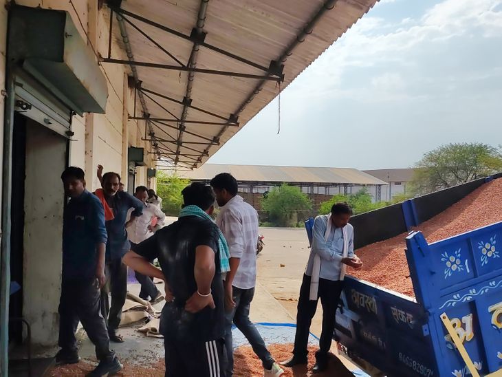 Surveyor demanded bribe to buy gram in Seoni-Malwa | सिवनी-मालवा में ...