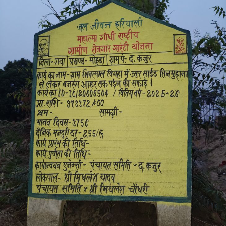 The villagers collected donations and cleaned the pine trees, the ...