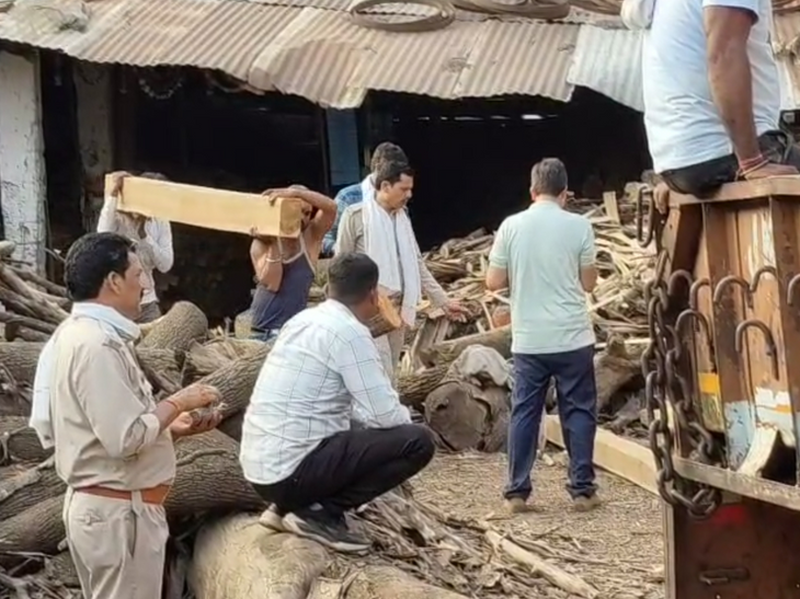 Forest department raids on timber depot