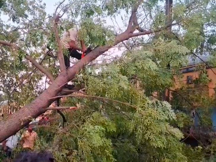 Tree fell on the track near Chandak station