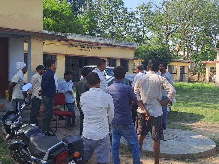Deadly attack on Nilgai in Shravasti