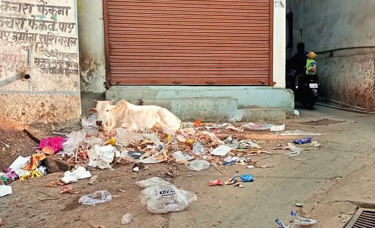 The advice not to throw garbage on the road is ineffective, demand for ...