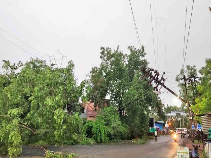 Trees fell on power lines at 30 places, fault in 63 feeders, power was ...